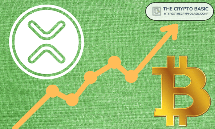 How High XRP May Rise Before the 2028 Bitcoin Halving How High XRP May Rise Before the 2028 Bitcoin Halving