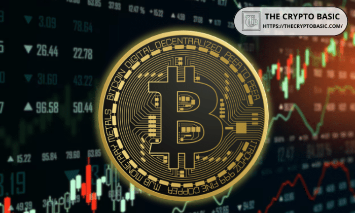 Analysts See Bitcoin Q4 Rally As Halving Patterns Echo 2020 When Btc